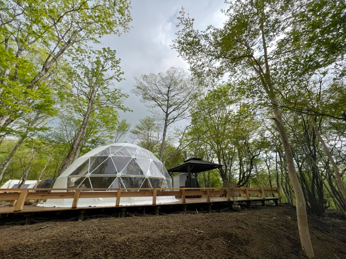 LOVETABI | 旅に恋する情報マガジン 緑に囲まれた「MOSS十里木キャンプリゾート」で豊かな自然を楽しむグランピング