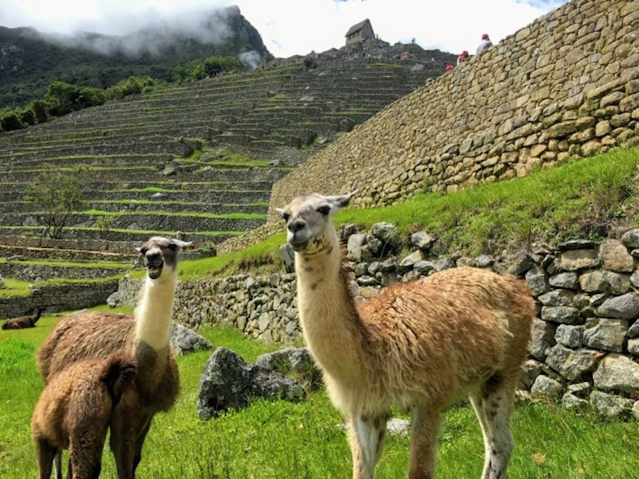 LOVETABI | 旅に恋する情報マガジン 絶景の世界遺産5選！ アジア、アメリカ、ヨーロッパどこに行く？ - LOVETABI -ラグジュアリー女子旅メディア