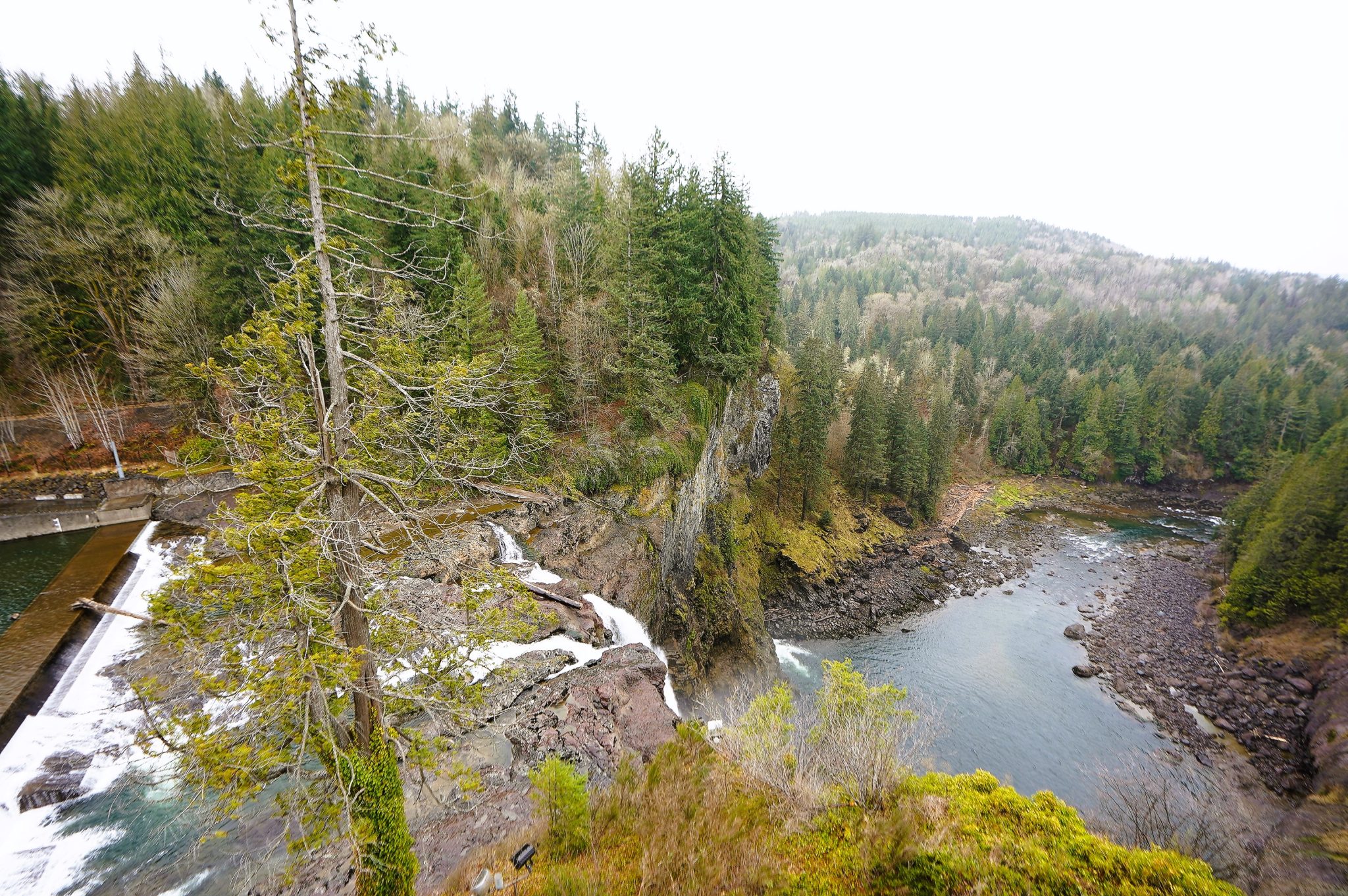 LOVETABI | 旅に恋する情報マガジン アメリカ・シアトル近郊で絶景癒し旅♪自然と美食ワインを愉しむ1泊モデルプラン