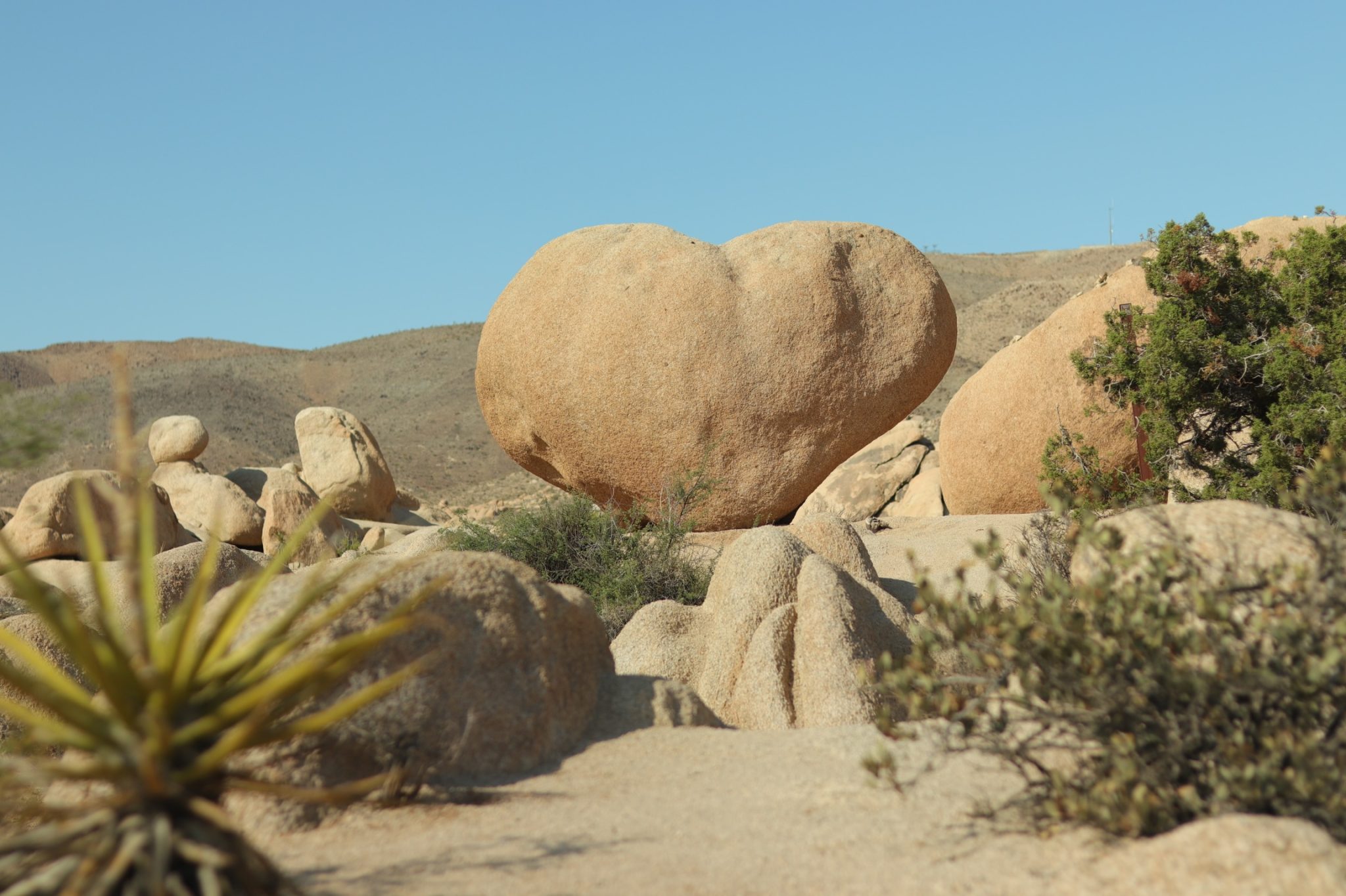 LOVETABI | 旅に恋する情報マガジン アメリカおすすめ国立公園10選！大自然と絶景を堪能