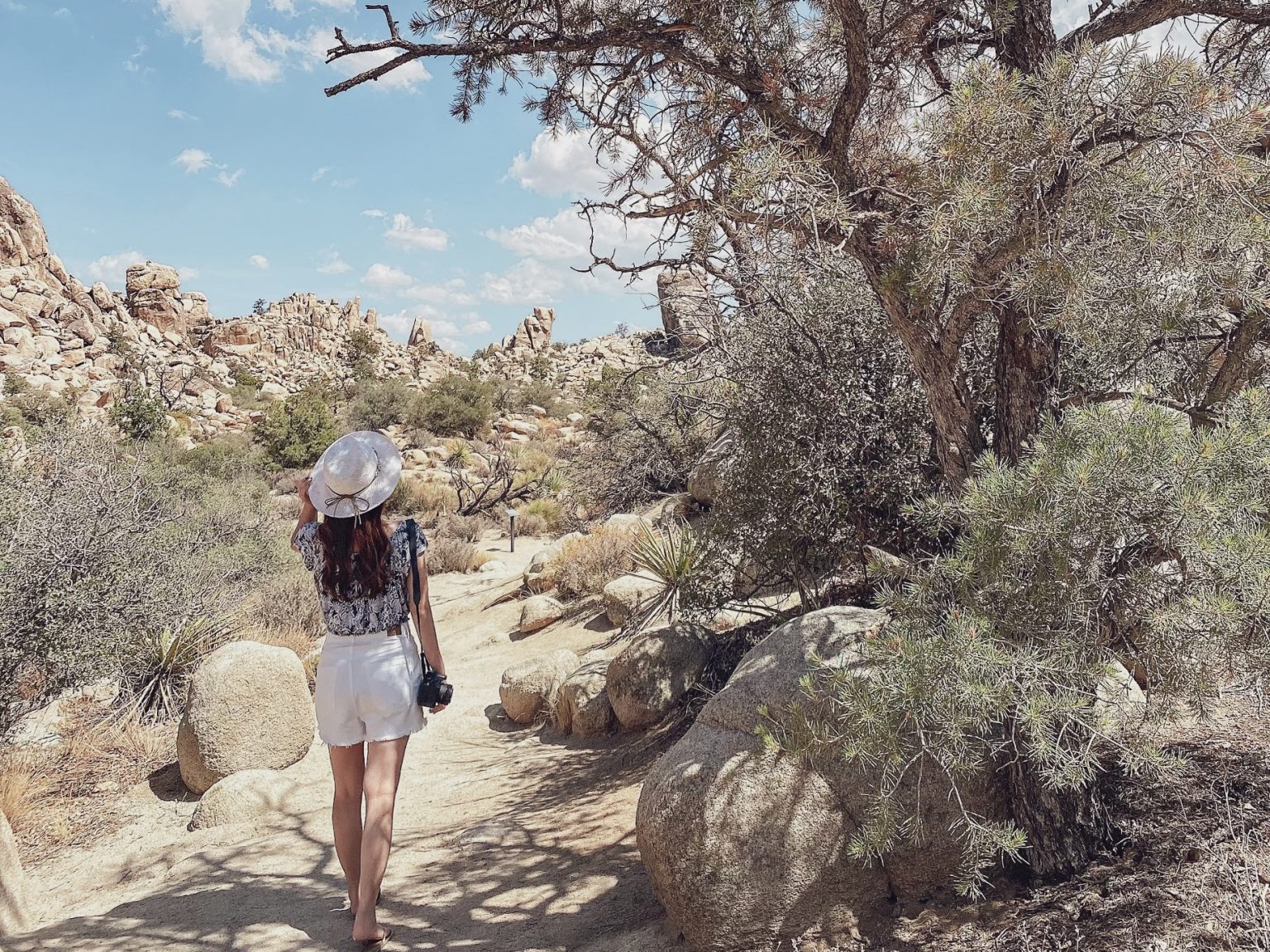 LOVETABI | 旅に恋する情報マガジン アメリカおすすめ国立公園10選！大自然と絶景を堪能