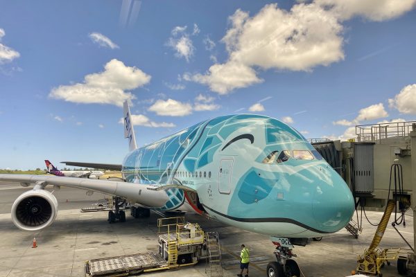 LOVETABI | 旅に恋する情報マガジン ANAの「FLYING HONU（フライングホヌ）」に乗って初めてのハワイ旅へでかけよう！