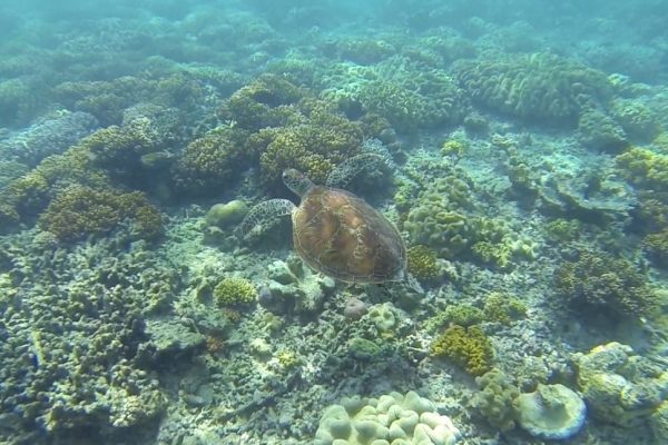 LOVETABI | 旅に恋する情報マガジン 女子旅におすすめ！1〜3月がベストシーズンの海外渡航先10選