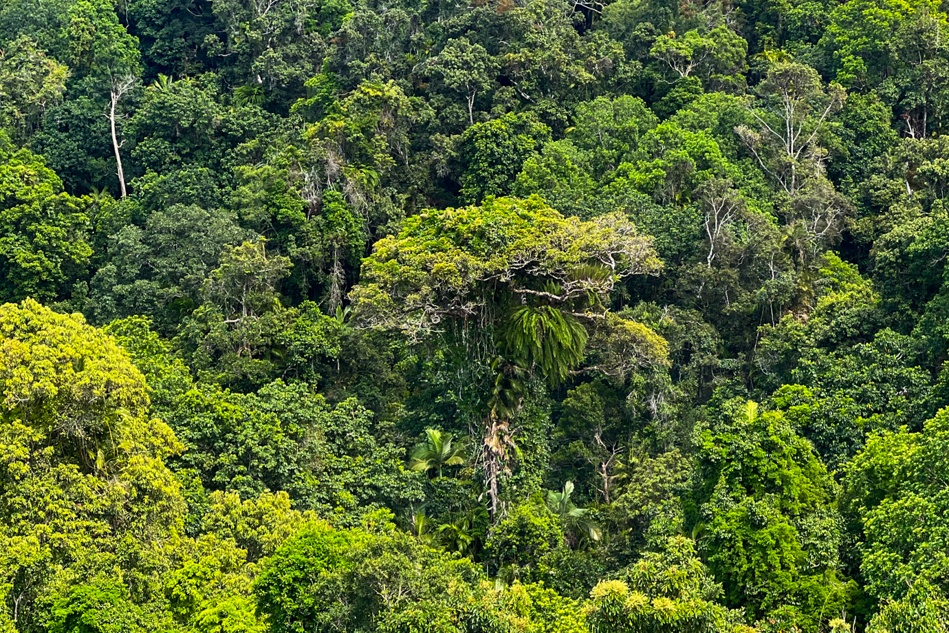 LOVETABI | 旅に恋する情報マガジン 【オーストラリア】ここは外せない！おすすめ観光スポット7選